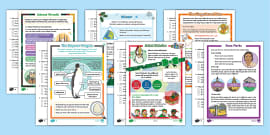 Polar/Arctic Animals Reading Comprehension | KS1 English