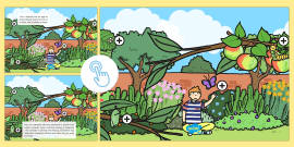 EYFS Butterfly Life Cycle Cut and Stick Activity - life cycles