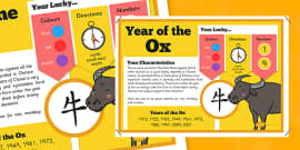 Chinese New Year of the Tiger Display Poster - chinese new year, display