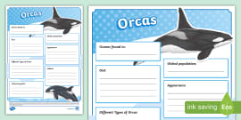 Orca Whale Cloze Activity (teacher made) - Twinkl