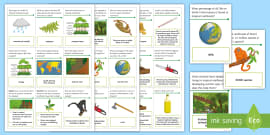 The Interactive Multiple Choice Rainforest Quiz | Twinkl Go!
