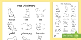 Pets Word Mat - Children's Teaching Resource - Twinkl