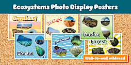 Biomes Display Pack KS2