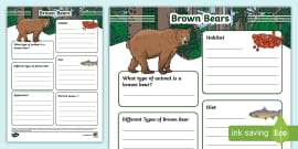 Grizzly Bear Fact File Template (teacher made) - Twinkl