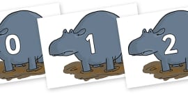 What is a Hippopotamus? - Answered - Twinkl Teaching Wiki