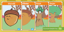 Micuțele ghinde: Stejarul în cele patru anotimpuri