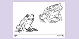 FREE! - Feelings Colouring Page - F-6 - Parents