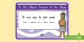 What is a Whakataukī? NZ Māori Proverbs Explained - Twinkl