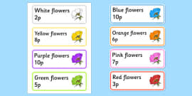 Common Plants and Flowers Display Photos - KS1 Resources