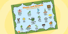 Plant and Growth Word Wall Pack (teacher made) - Twinkl