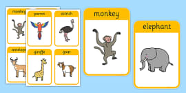 African Animal Colouring Pages (teacher made)