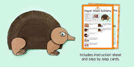 Life Cycle of an Echidna Display Poster (teacher made)