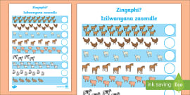 Marine Animals In Xhosa | Izilwanyana Zaselwandle | Display