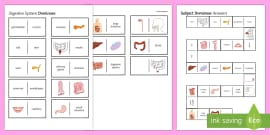 Food Energy First Level Board Game - digestion, fats, eatwell plate, active