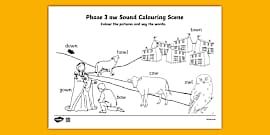 Phase 3 ow Colour by Phoneme Real and Nonsense Words Worksheet / Worksheet