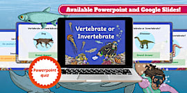 Year 6 Classification of Plants and Animals PowerPoint