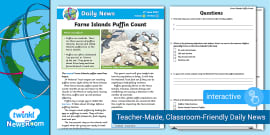 All About Puffins PowerPoint - Facts About Puffins - Twinkl