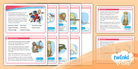 National Fitness Day - 4 Corners Fitness Activity - Twinkl