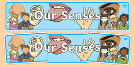 👉 Pictures of the 5 Senses Posters | PreK Resource | Twinkl US