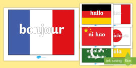 Hello in Multiple Languages Flag Posters (teacher made)