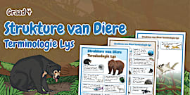 Graad 4 - Natuurwetenskappe en Tegnologie - Kwartaal 1 - Habitats van ...