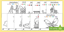 Colour by Phoneme Phase 5 Colouring Pages (teacher made)