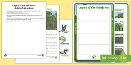 Layers of the Rainforest PowerPoint - Science Resource - Twinkl