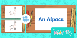 All About Alpacas Fact File (teacher made) - Twinkl