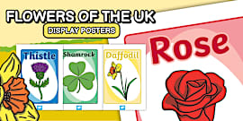 Flowers of the UK and Northern Ireland Posters | Resources