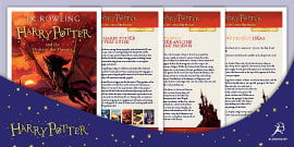FREE! - Harry Potter Display Pack (teacher made)
