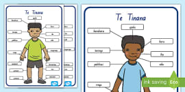 Body Parts in Māori Flashcards (teacher made)