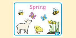 Spring Posters - Classroom Display Resources (teacher made)