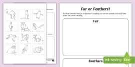 Fur or Scales Animal Matching Activity - Twinkl