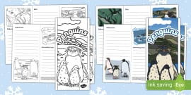 Penguin Writing Template - Twinkl Ireland