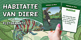 Diere Habitatte Vertoon Prente