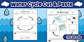 Water Cycle Experiment | Water Cycle STEM Activity