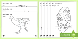 New Zealand Bugs and Insects Mindfulness Colouring Pages