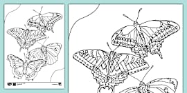Butterfly Mindfulness Colouring Pages - Twinkl - KS1