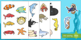 What is an Ocean? | Twinkl Teaching Wiki