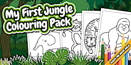 * NEW * My First Teddy Bear Colouring Pack - Twinkl