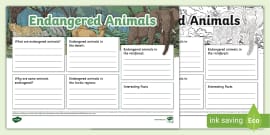 Endangered Animals Mind Map, Endangered species - Twinkl