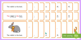 EYFS Safari Simple Sentence Cards (teacher made) - Twinkl