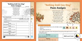 Seventh Grade Snow Day Poem Analysis Activity (teacher made)