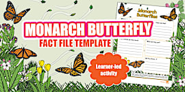 KS1 Monarch Butterfly Fact File - Twinkl - Minibeasts