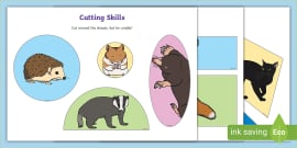 Nocturnal Animals EYFS / KS1 Sorting Activity (teacher made)