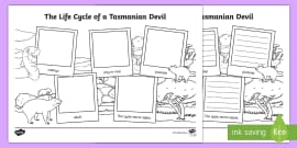 Tasmanian Devil Life Cycle Worksheets - Twinkl