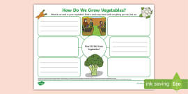 Where Do Vegetables Grow? Sorting Activity
