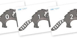 What is a Raccoon? - Answered - Twinkl Teaching Wiki