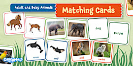 Animal Matching Cards Printable | Mother and Baby