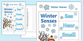 Winter Senses Display Poster - Twinkl Senses